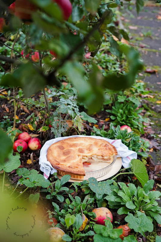 Apple-Pie mit Frischkäse-Mürbeteig - Jenny is baking